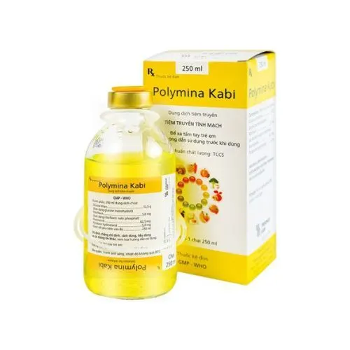 Dung dịch tiêm truyền Polymina Kabi Bidiphar hộp 1 chai 250ml