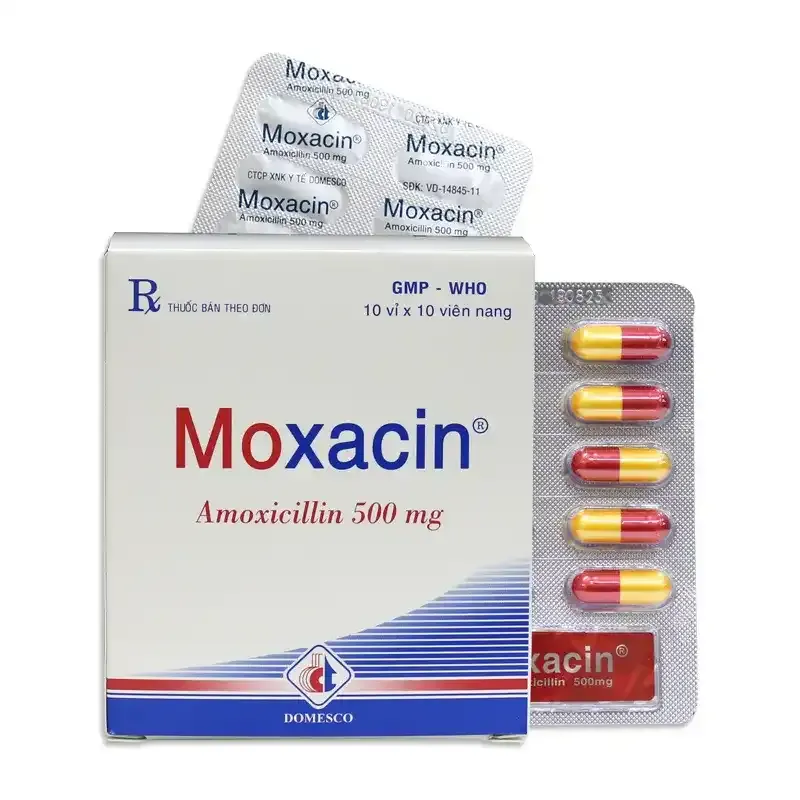 Thuốc kháng sinh Moxacin 500mg (Domesco) hộp 100 viên